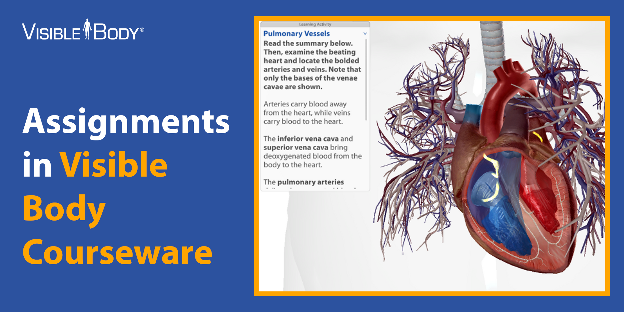 Using Interactive, Immersive Assignments in Courseware